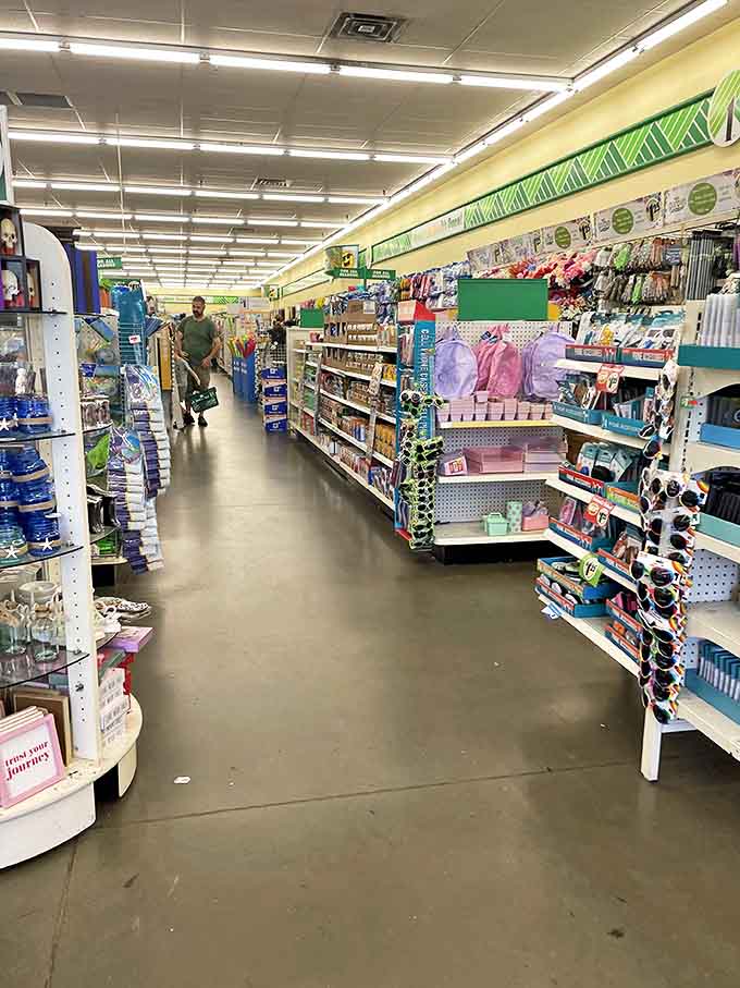 Fellow treasure hunters navigate the well-organized aisles, each on their own quest for that perfect combination of practicality and unexpected delight.