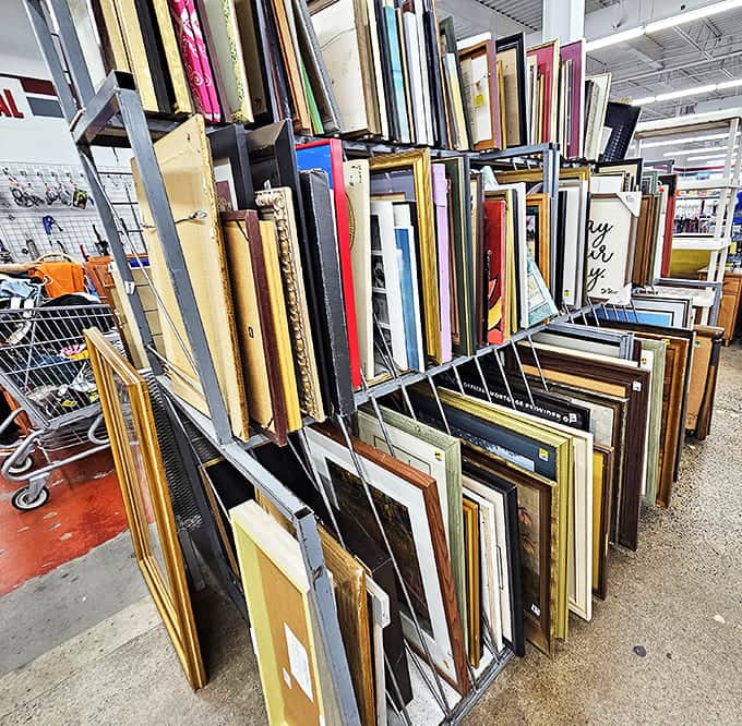 Picture frames waiting for new memories – proof that even nostalgia can be recycled and reimagined for another generation.