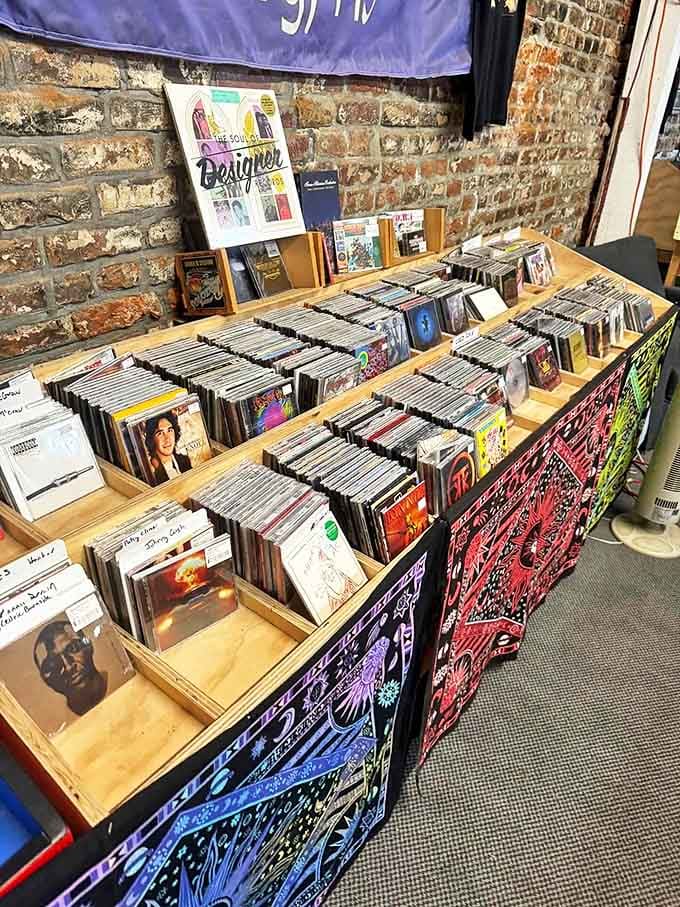 Vinyl records organized like a musical library, where forgotten albums wait for their second spin on someone's rediscovered turntable.