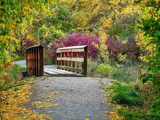 Cherry Springs Nature Area's autumn palette proves Mother Nature was the original artist, painting with colors that make photographers weak at the knees.