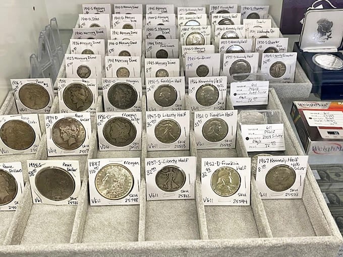 Numismatist heaven&mdash;where pocket change becomes investment portfolio. Those Mercury dimes have witnessed more history than most history books contain.