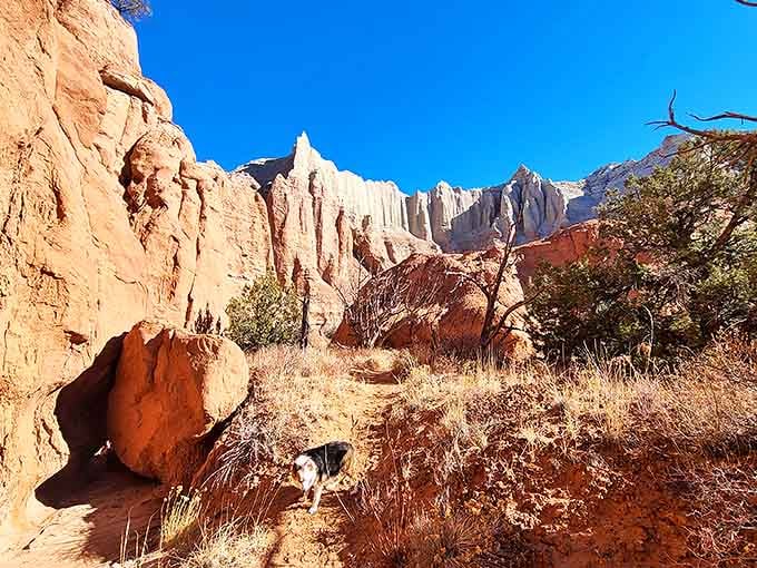 The trail beckons with promises of discovery &ndash; and maybe a few muscle aches that are absolutely worth it.