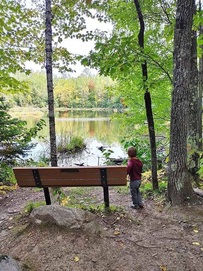 Nature's therapy session awaits at this serene lakeside spot, where a young explorer discovers the simple joy of watching ripples dance across still waters.