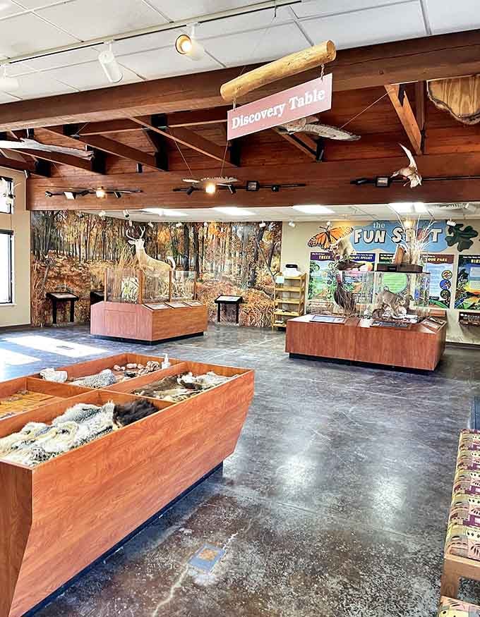 The Discovery Table lives up to its name, offering hands-on encounters with nature that beat any screen time competition.