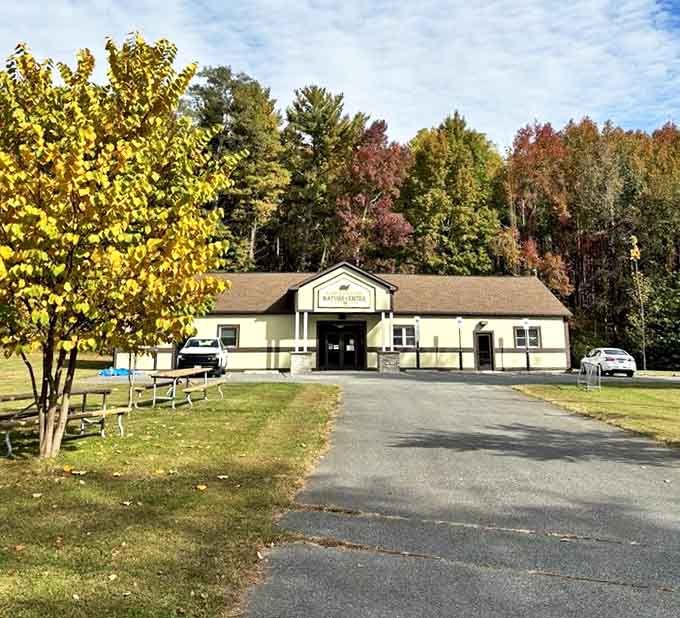 The welcoming Nature Center stands ready to transform curious visitors into amateur naturalists, one interactive exhibit at a time.