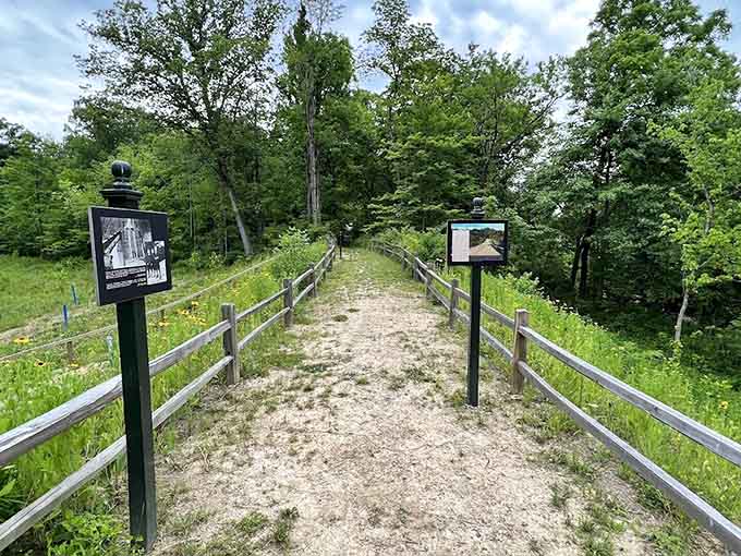 Silver Hills Historical Nature Trail invites visitors to step back in time while stepping forward on a path that whispers stories of the region's natural history.