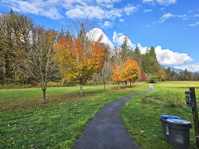 Fall foliage that makes New England leaf-peepers question their travel plans. These trees don't just change color &ndash; they put on a full Broadway production.