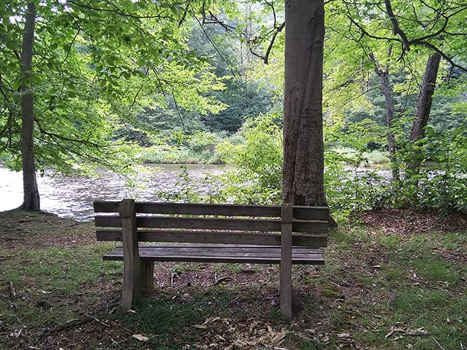 The perfect bench doesn't exi&mdash; Wait, there it is, positioned by some benevolent park planner who understood exactly where you'd need to pause.
