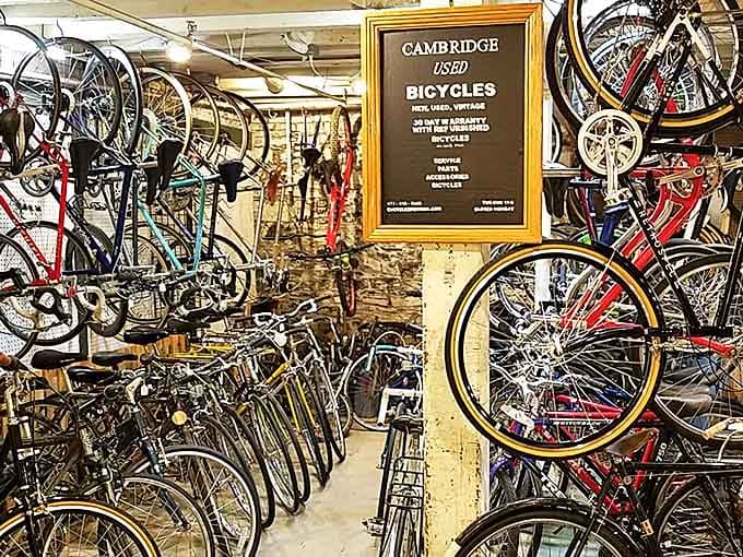 Bicycle heaven! Vintage wheels for days in what might be the most Cambridge corner of this already very Cambridge establishment.