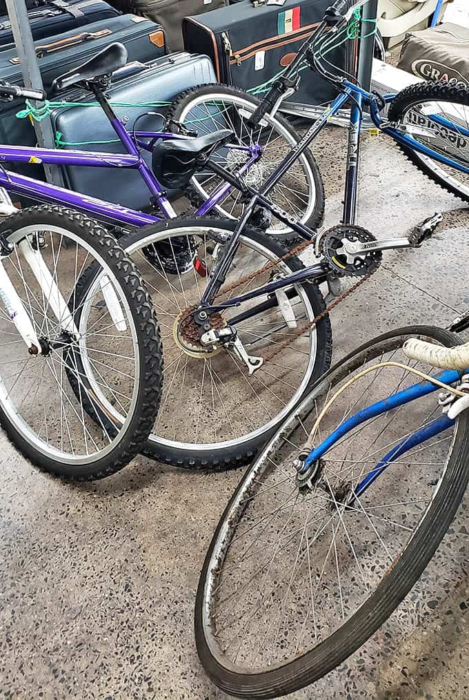 Transportation treasures: bikes that have traveled neighborhoods before, ready to explore new terrain with fresh riders.