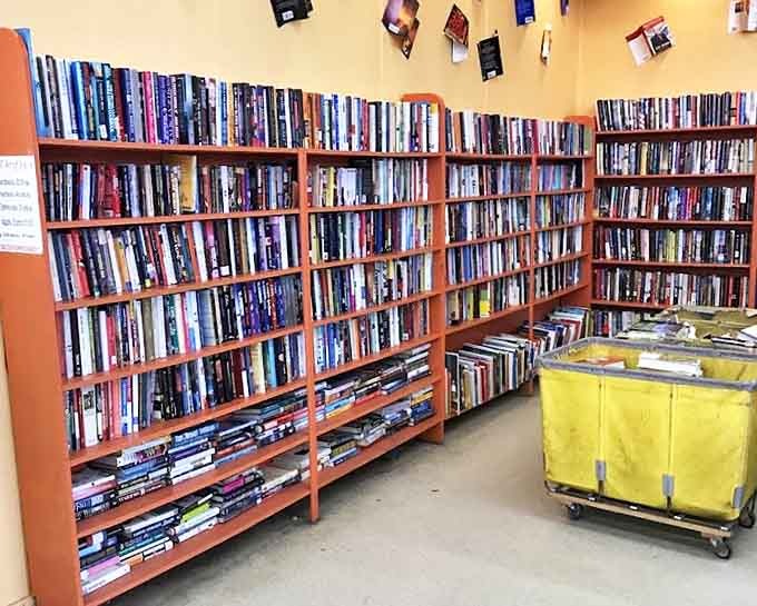 Bibliophile's dream corner. These shelves don't just hold books; they contain thousands of adventures, romances, and mysteries waiting for their next reader.