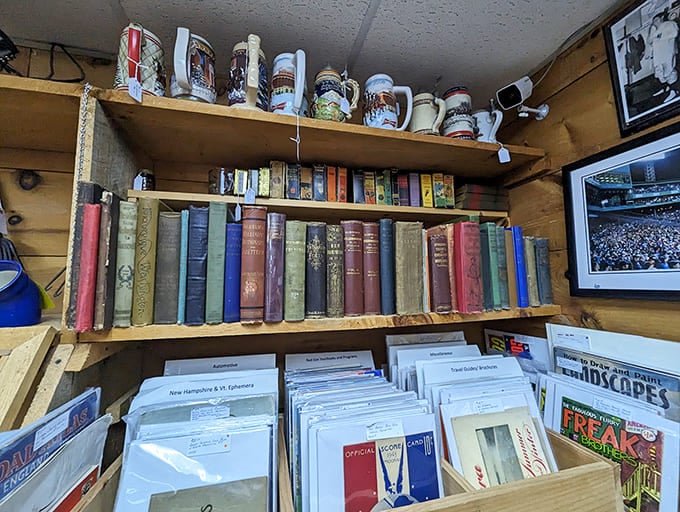 The book corner combines vintage volumes with collectible steins above &ndash; intellectual and liquid refreshment sharing the same cozy space.