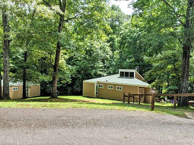 Rustic luxury nestled among giants. These cabins offer all the comforts of home while keeping nature's majesty as the main attraction.