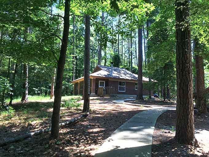 Cozy cabins tucked among towering pines offer wilderness with Wi-Fi. Thoreau would have definitely upgraded his Walden experience.