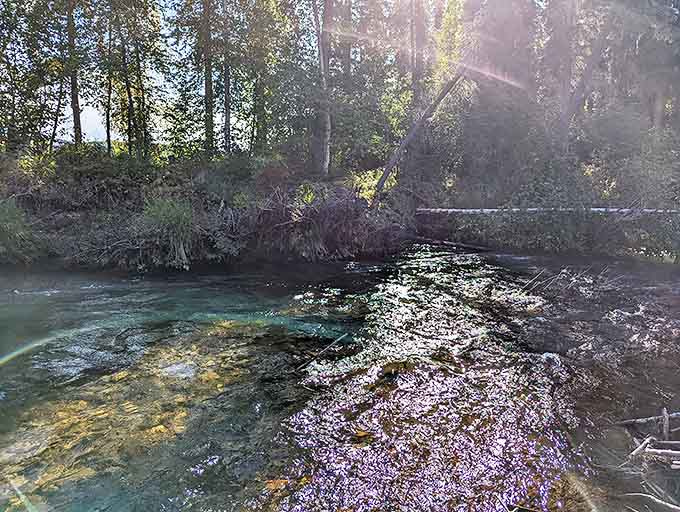Crystal waters so clear you can count pebbles and contemplate life choices simultaneously. Nature's therapy session included free of charge.
