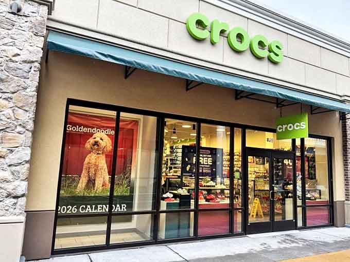 Crocs displays a golden doodle because even our four-legged friends deserve comfortable humans who didn't overspend on shoes.