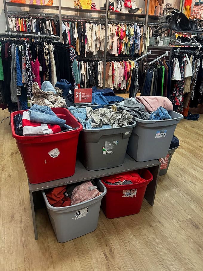 Clearance bins: where patience meets payoff. These color-coded tubs hold the ultimate thrill of the hunt for truly dedicated bargain seekers.