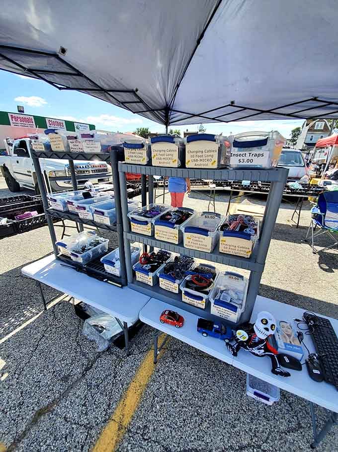 The modern scavenger hunt includes charging cables. Yesterday's tech problems solved at tomorrow's garage sale—three dollars for peace of mind.