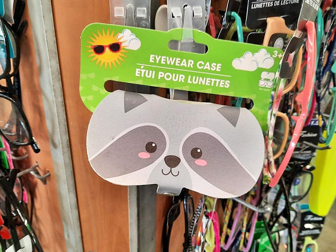 This adorable raccoon eyewear case proves cuteness doesn't require a designer label. Practical protection with personality for your sunglasses.
