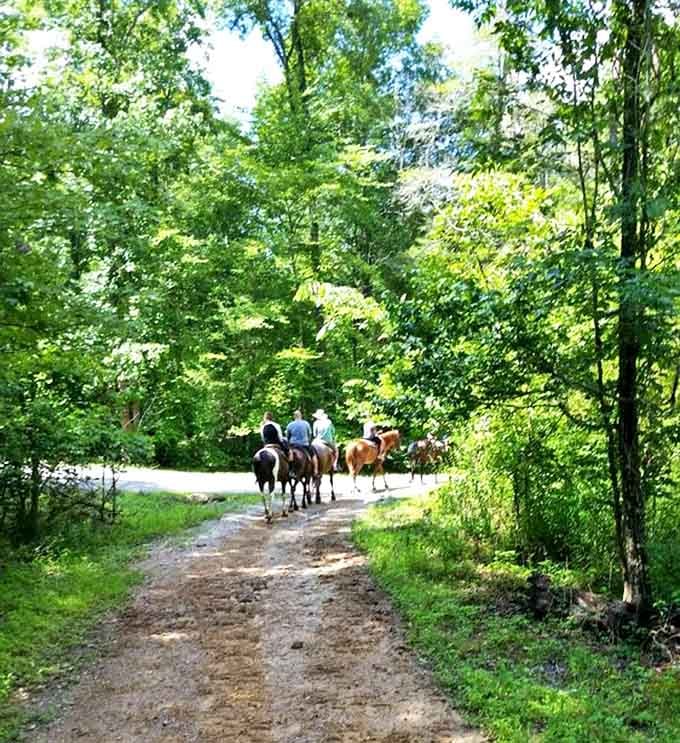 Horseback riding through dappled sunlight &ndash; when "horsepower" takes on its original meaning. The perfect pace to appreciate Kentucky's woodland beauty.