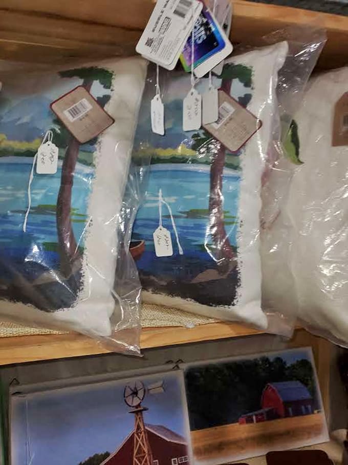 Decorative pillows that bring lakeside serenity indoors, perfect for those days when you can't actually escape to the cabin but desperately need to.