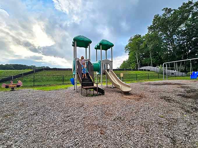 Small-town playgrounds &ndash; where kids still experience the original version of social networking and parents catch up on the real local news.