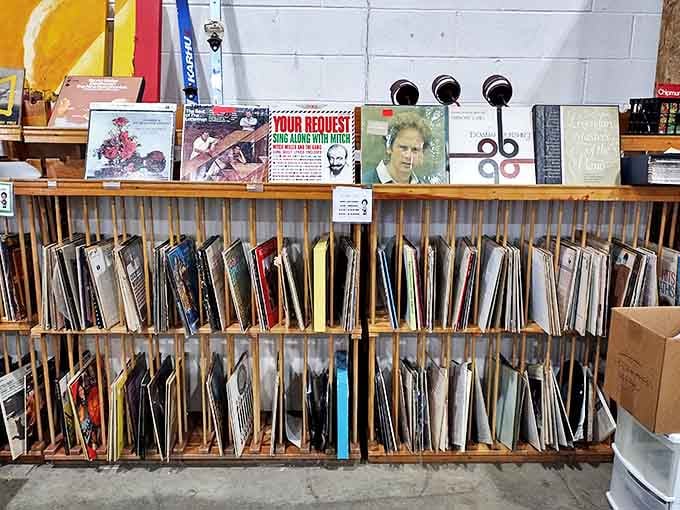 Vinyl records stand at attention, waiting for their chance to spin again. Art Garfunkel's hair hasn't aged a day.