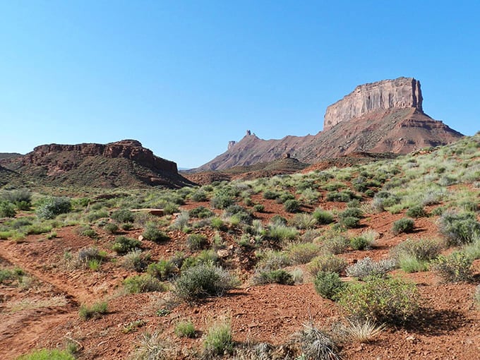 Desert poetry written in red rock and sage. These formations have been perfecting their poses since dinosaurs roamed Utah.