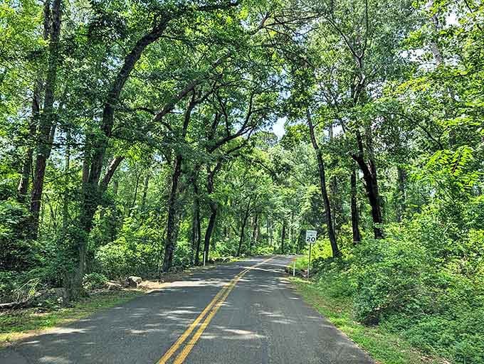 The road less traveled, mainly because GPS can't find it. Your reward? A canopy of green that makes tunnel engineers jealous.