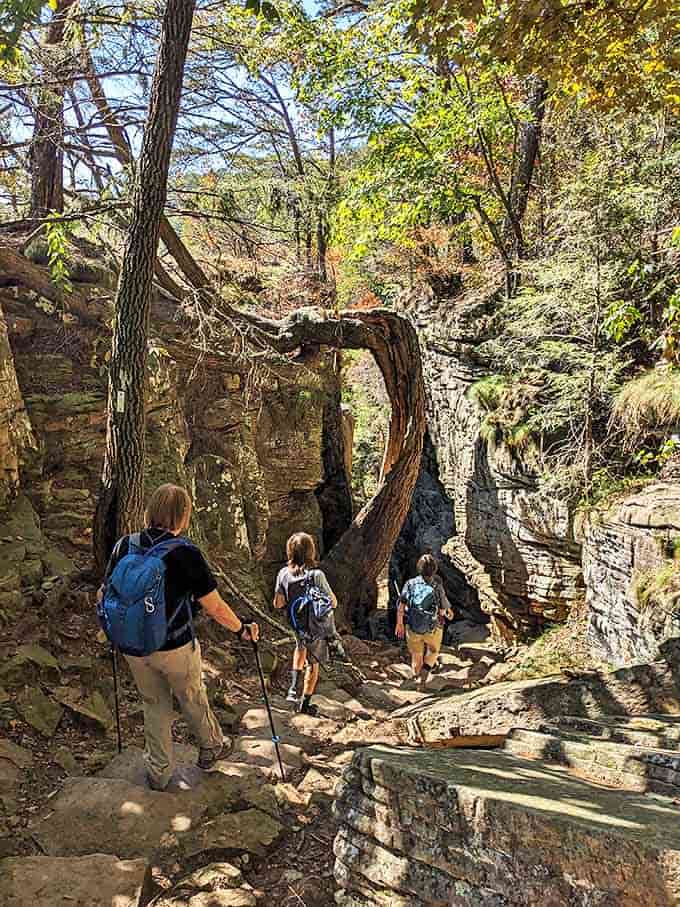 Nature's own stone archway frames the path ahead. Walking through feels like entering a secret world that few have discovered.