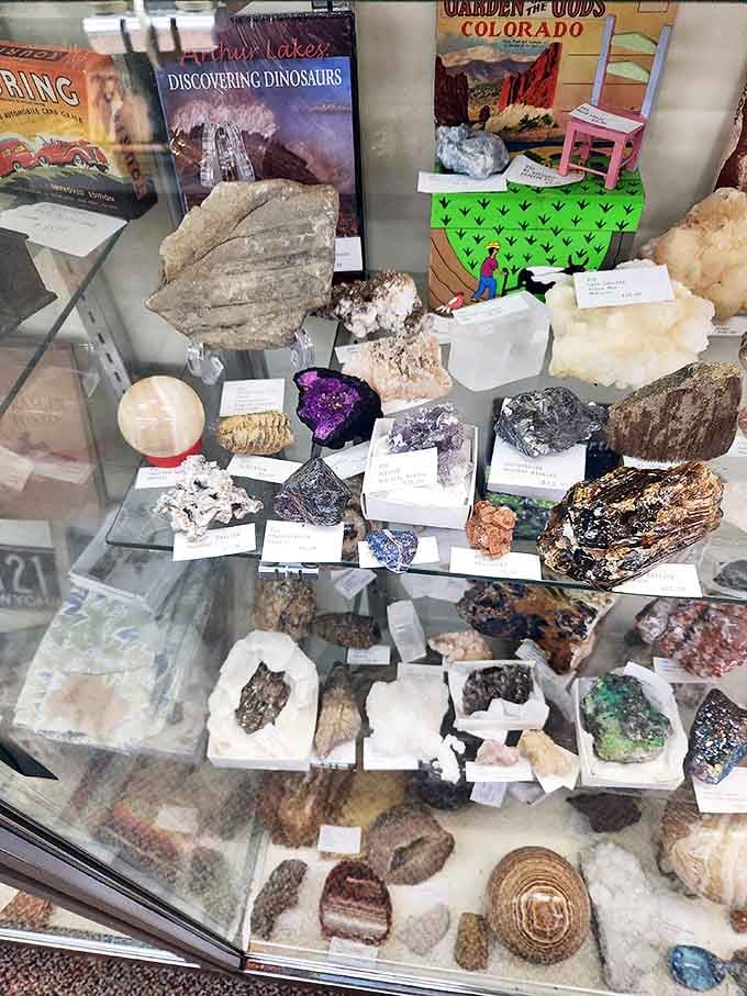 Nature's jewelry box&mdash;crystals and fossils that took millions of years to form, now available for your coffee table.