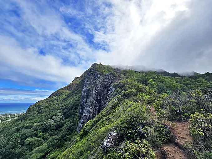 Standing on top of the world, Hawaiian style. This summit view explains why people willingly subject themselves to strenuous hikes in humid conditions.