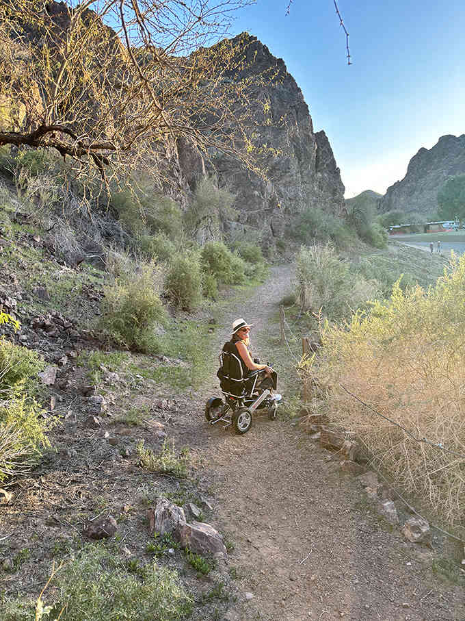 Trails wind through the desert landscape, inviting exploration. Every turn reveals new perspectives on this remarkable ecosystem.