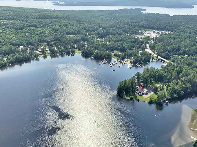 Lakes and forests stretch to the horizon like nature's version of infinity pools, only without the maintenance fees.