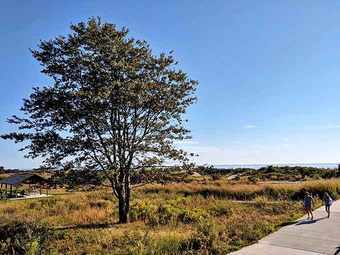 The walking path invites exploration with ocean views that make even the most dedicated couch potatoes temporarily consider hiking as a hobby.