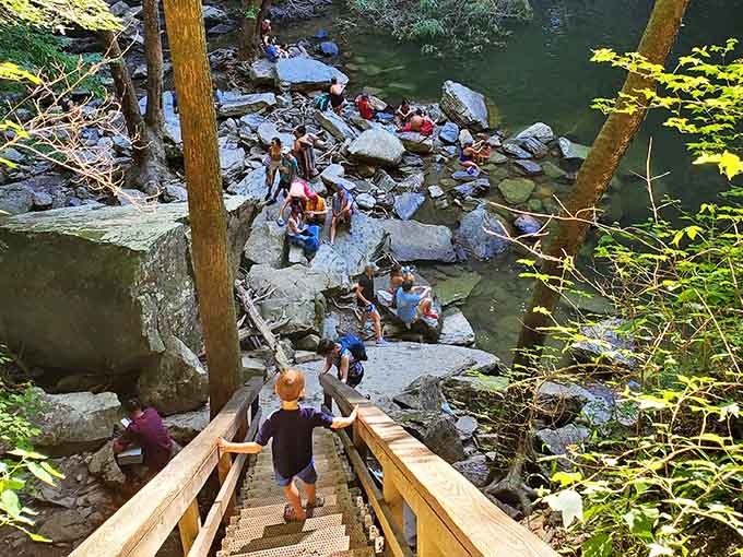 Where strangers become friends over shared awe. Nothing builds community faster than collectively gasping at nature's magnificence.