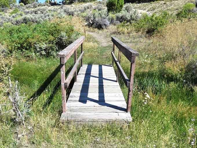 A wooden bridge leading deeper into the park's wilderness&mdash;adventure starts with a single step across weathered planks.