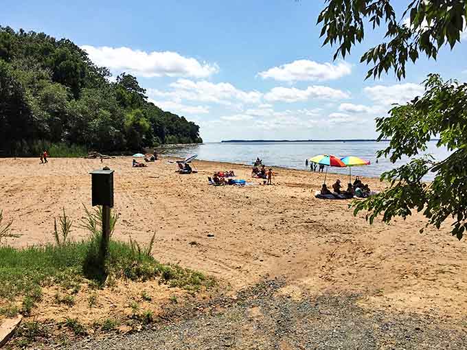 Sandy shores and gentle waves make this beach the perfect spot for families seeking Chesapeake Bay bliss without ocean-sized crowds.