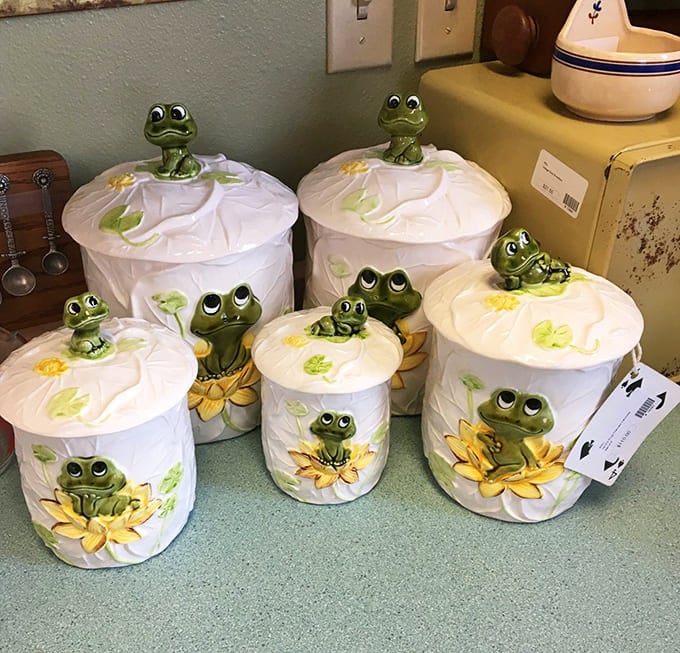 These frog-topped canisters aren't just kitsch&mdash;they're kitchen guardians with permanent smiles. Grandma's cookie jar has evolved into an amphibian army.