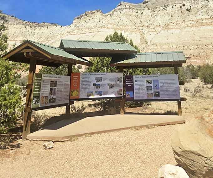 Knowledge enhances wonder &ndash; these educational displays turn "neat rocks" into "mind-blowing geological phenomena" with just a few paragraphs.