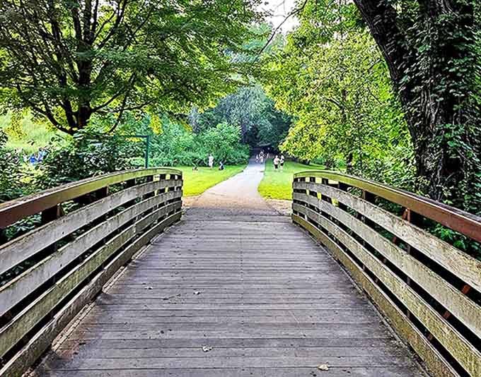 Frontier Park's wooden bridge leads to adventures through Erie's natural beauty. Morning walks here beat any fancy resort path I've encountered.