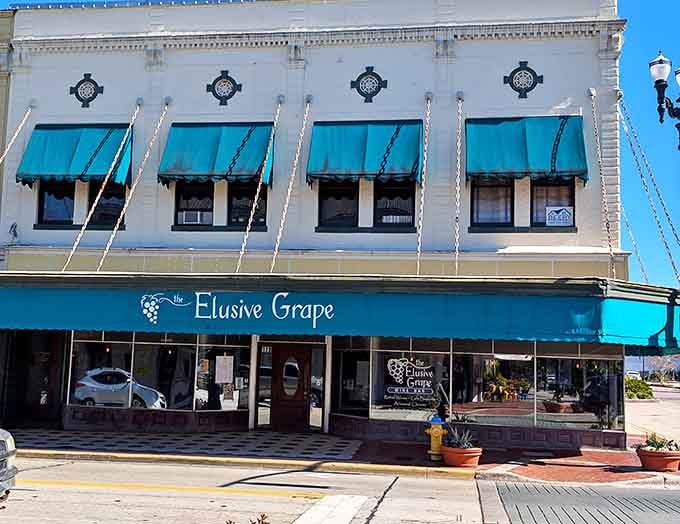 The Elusive Grape's inviting storefront promises wine discoveries and conversation in a setting that pairs perfectly with DeLand's historic charm.