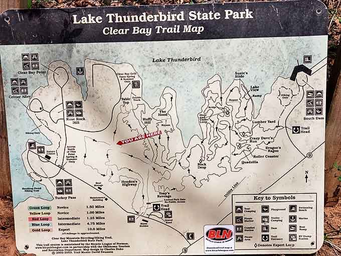 This trail map has guided countless adventures, witnessed numerous "we're not lost" discussions, and silently judged directional abilities.