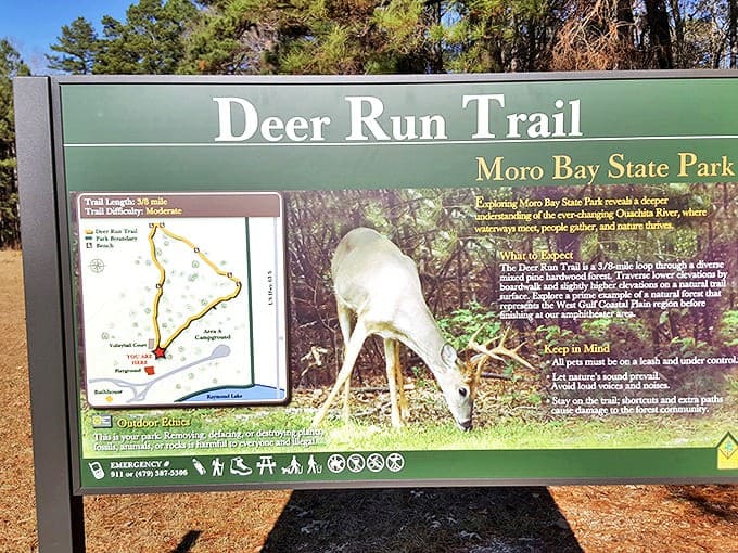 The Deer Run Trail sign offers both directions and wildlife spotting tips &ndash; essentially Google Maps for nature, but with better scenery.