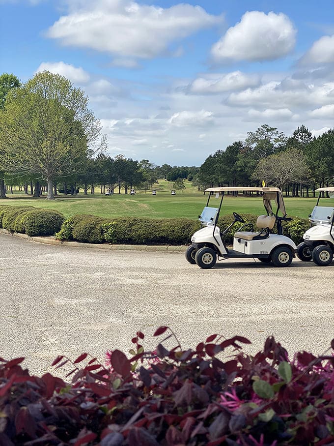 Troy Country Club's manicured greens offer a peaceful escape where golf carts stand ready for another round under Alabama's generous sky.