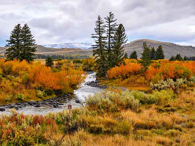 Fall paints the Wind River area in colors so vivid you'll wonder if Mother Nature has been taking art classes.