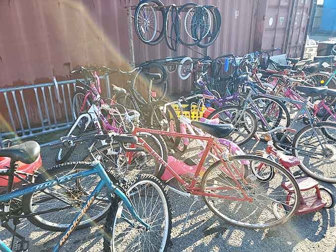 Bicycle bonanza! From kids' first rides to vintage cruisers, this two-wheeled collection promises adventures waiting to happen.