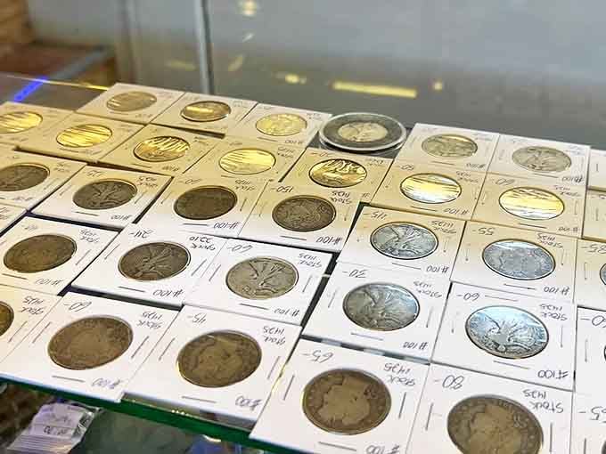 Numismatic treasures gleam under glass, each coin a tiny time machine to the pocket change of our grandparents and great-grandparents.