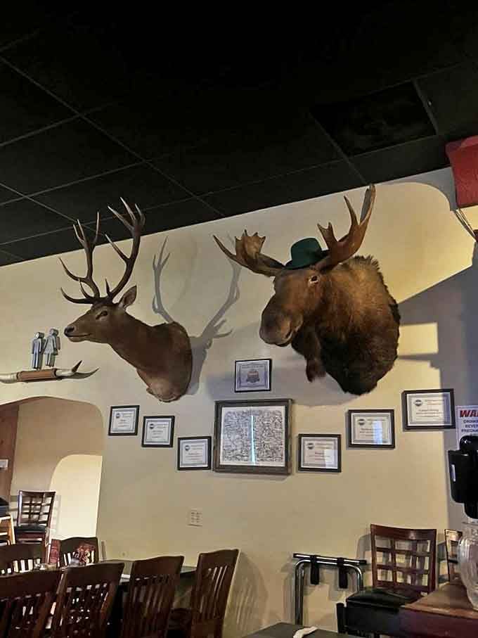 The wall of wildlife watches over diners like guardians of the carnivore code &ndash; a reminder that this place takes its meat-eating heritage seriously.