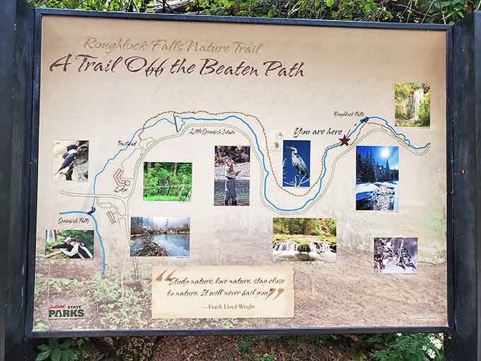The trail map promises adventure with Frank Lloyd Wright's wisdom thrown in for free. Nature's GPS doesn't need batteries or software updates.